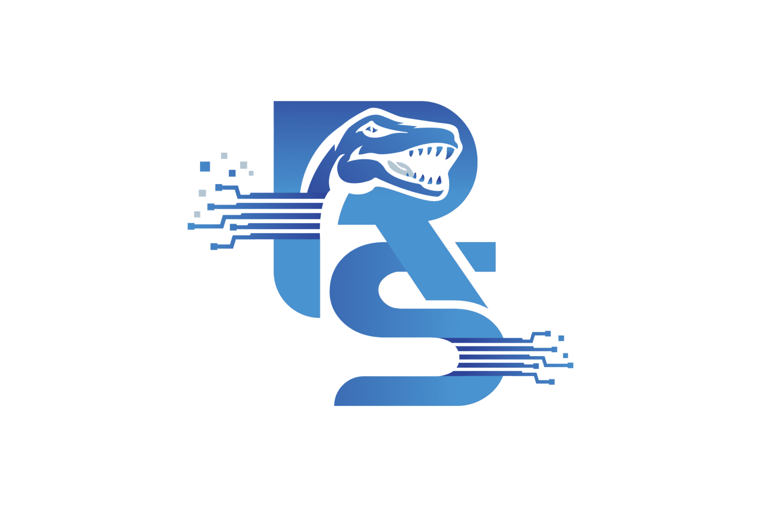 About Us | Raptor IT Solutions